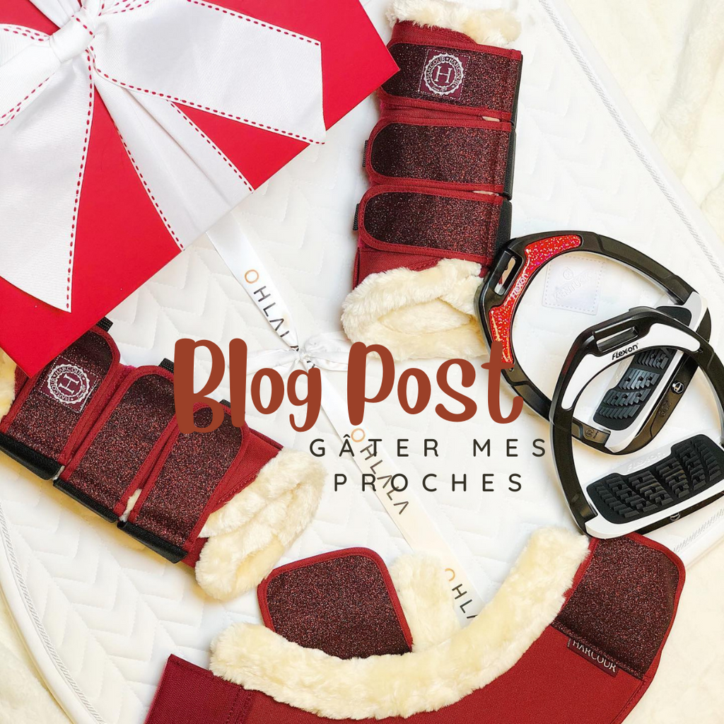 GÂTER MES PROCHES POUR NOËL 🎄